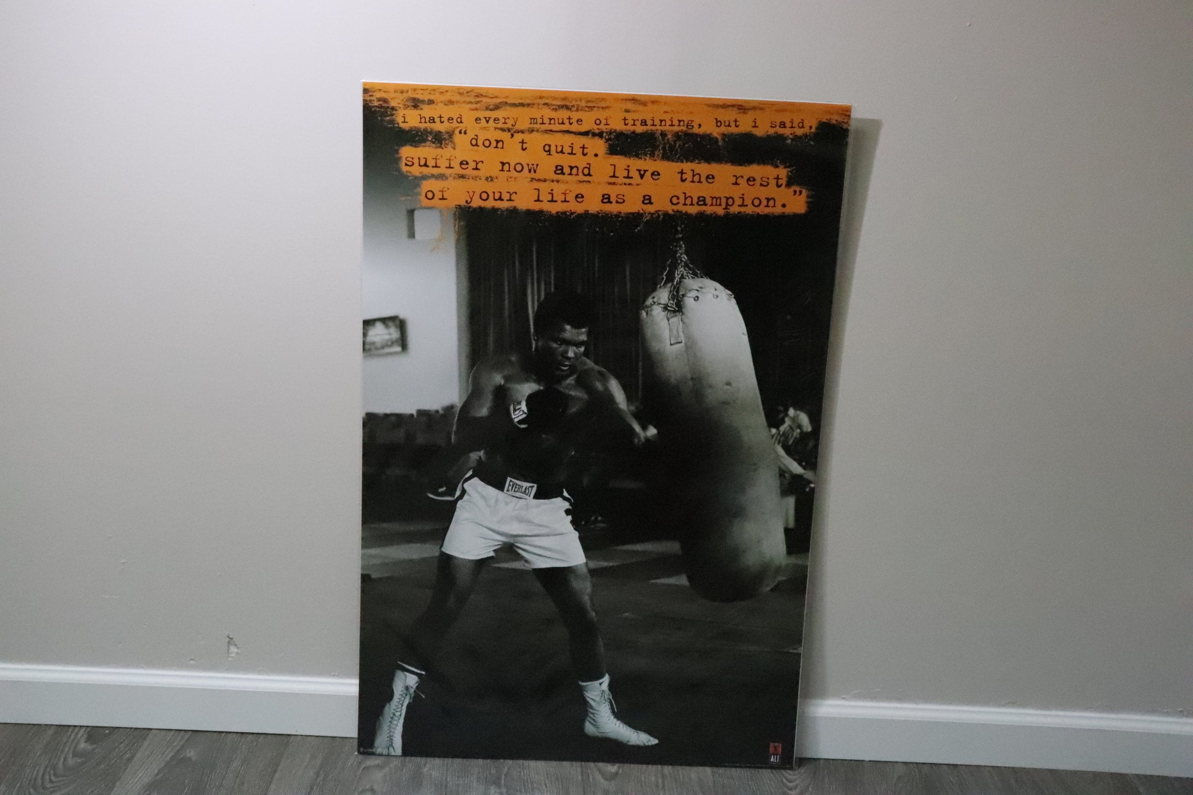 Muhammad Ali Life as a Champion Poster | My Site